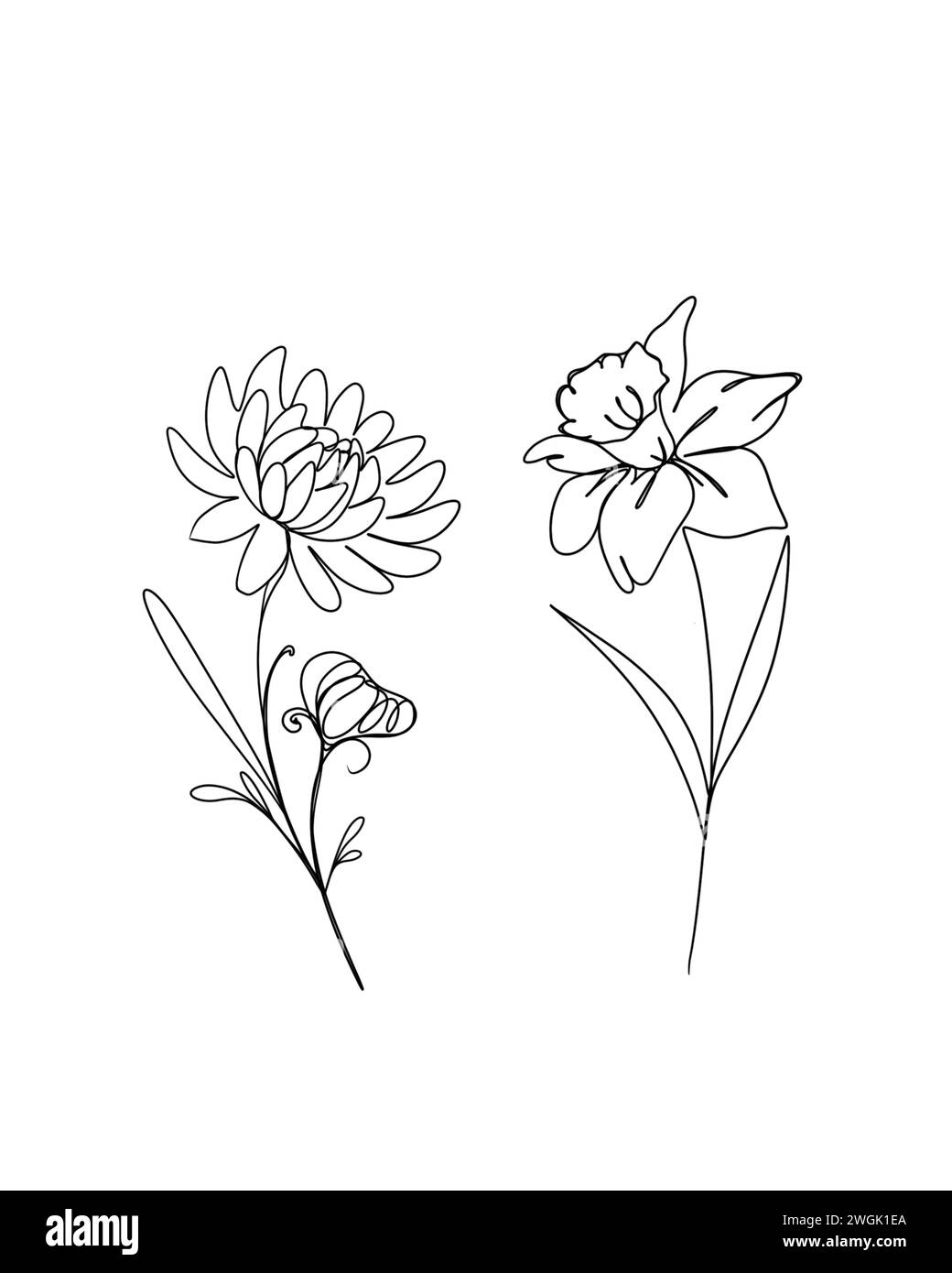 line art drawing of flowers. minimalism sketch, idea for invitation ...