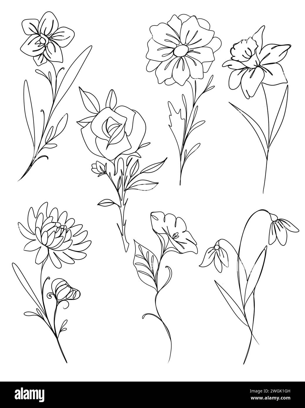 line art drawing of flowers. minimalism sketch, idea for invitation ...