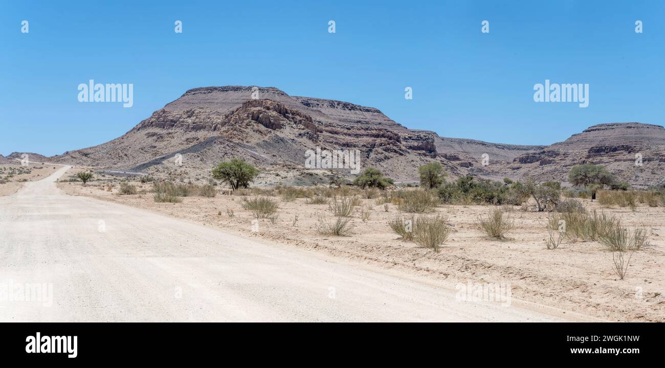 landscape with big tree and C37 gravel road, shot in bright late spring ...
