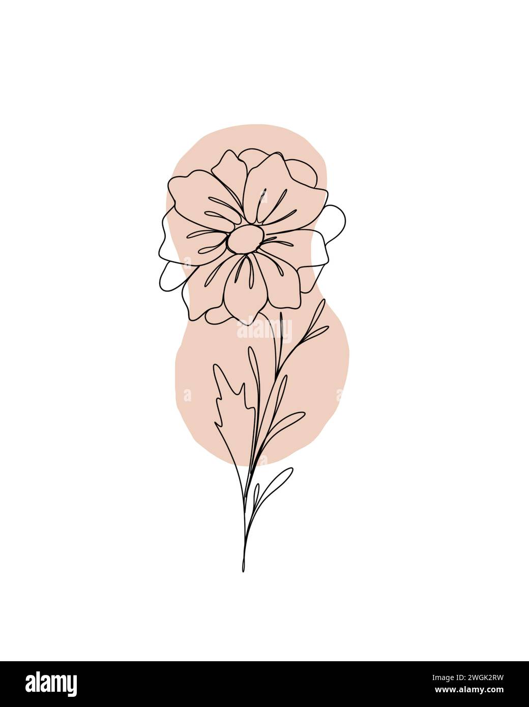 line art drawing of flowers. minimalism sketch, idea for invitation ...