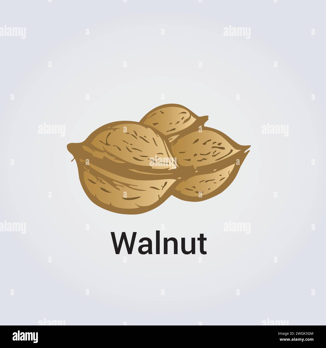 Walnut Fruit Illustration Icon - Vector Design Elements - Hand drawn ...