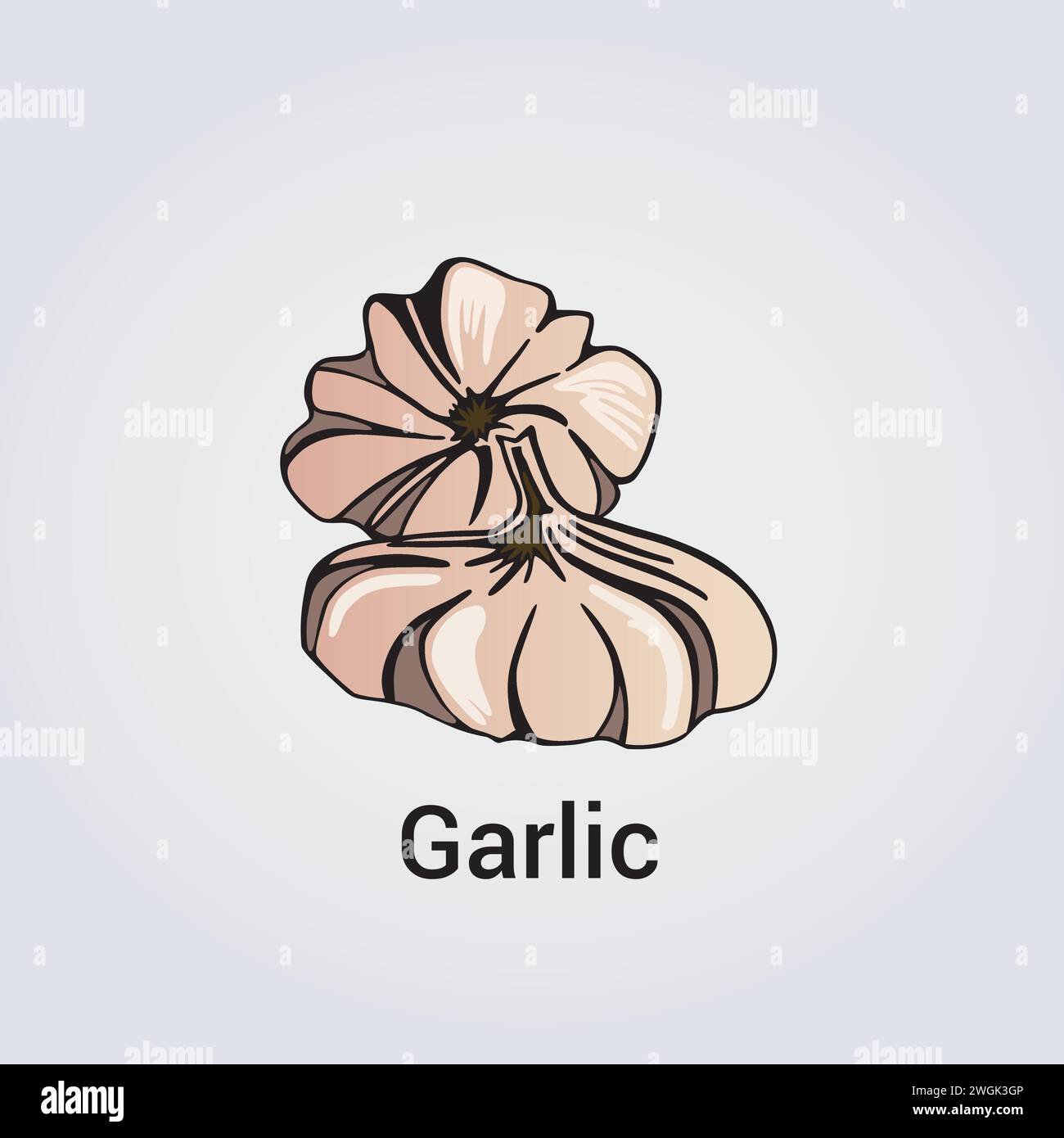 Garlic Vegetable Illustration Icon - Vector Design Elements - Hand ...