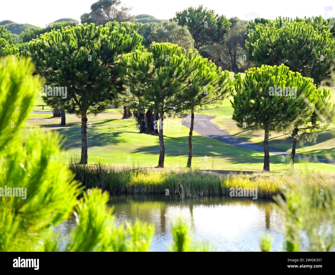 The golf course of El Rompido, Huelva Stock Photo - Alamy