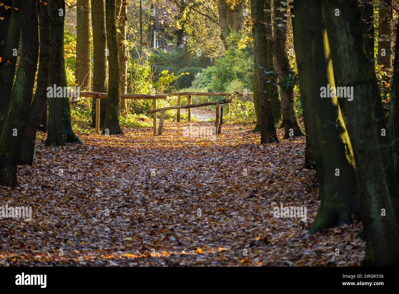 Foot path hi-res stock photography and images - Alamy