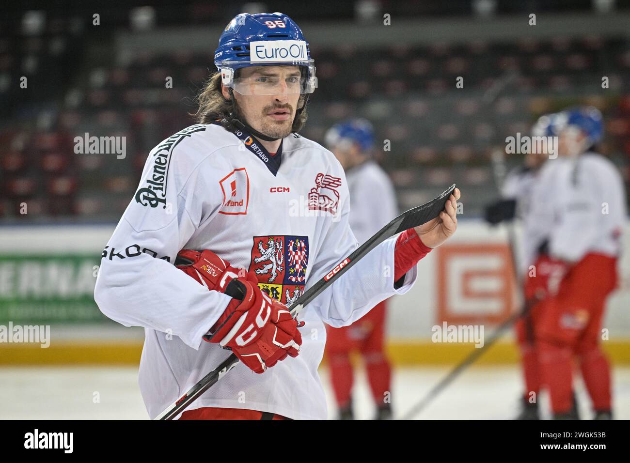 Prague, Czech Republic. 05th Feb, 2024. Daniel Vozenilek attends Czech ...