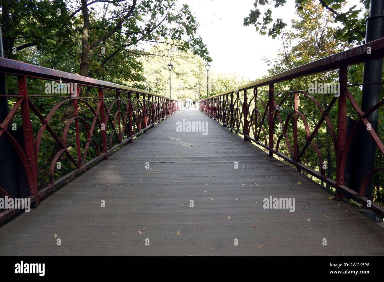 A bridge for pedestrians in the park made of wood and metal Stock Photo ...