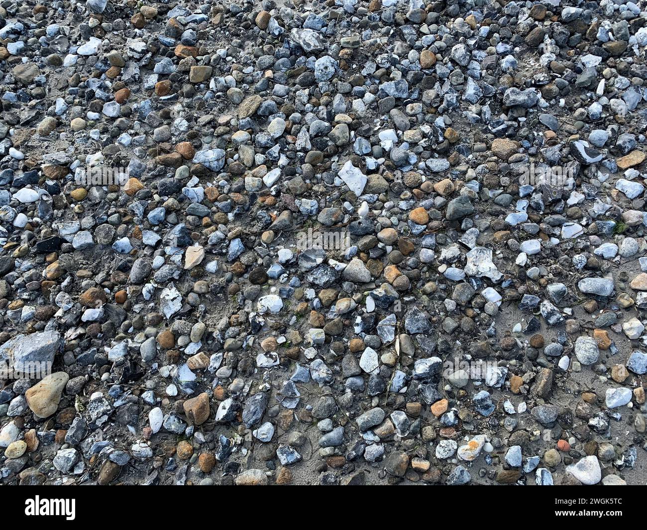 Kies detail hi-res stock photography and images - Alamy
