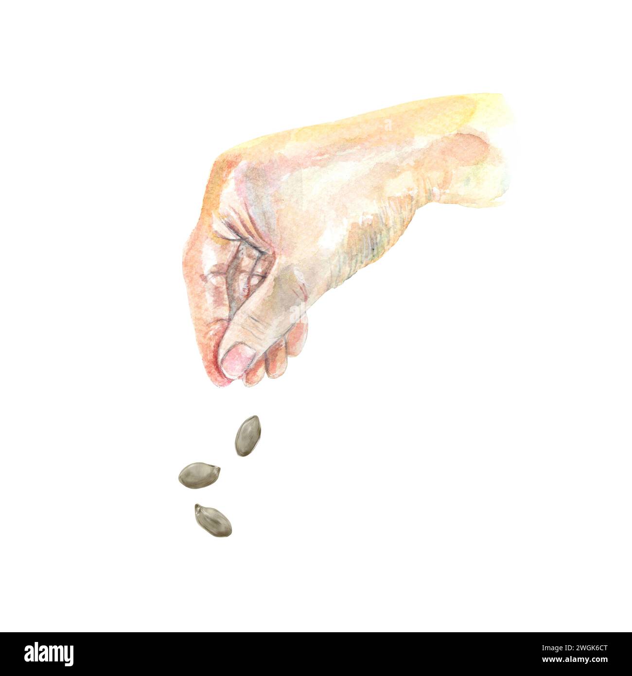 Hand planting seeds. Watercolor illustration isolated on white background. Design element for ...