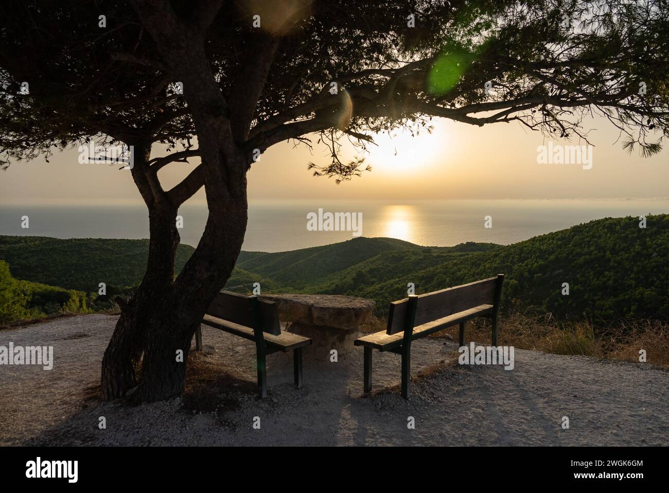 Mountainous olive tree's hi-res stock photography and images - Alamy