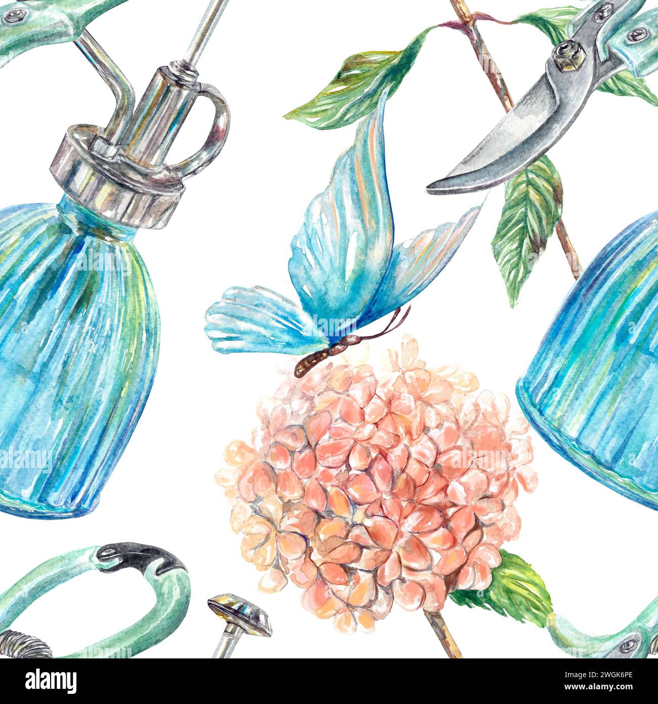Hydrangea peach pattern. Sprayer, butterfly. Watercolor illustration of ...