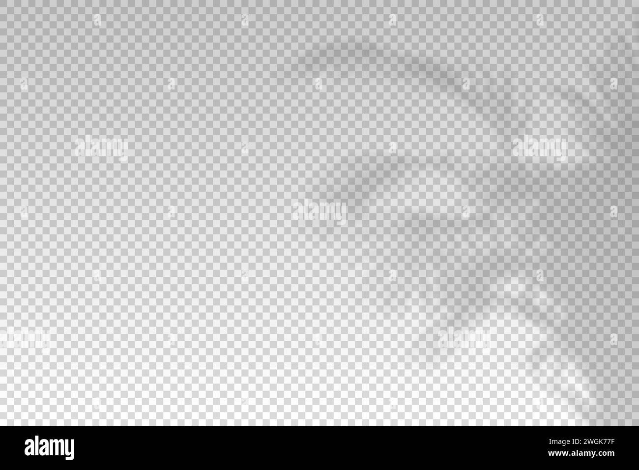 Flower shadow. Reflecting shades palm plants isolated on transparant ...