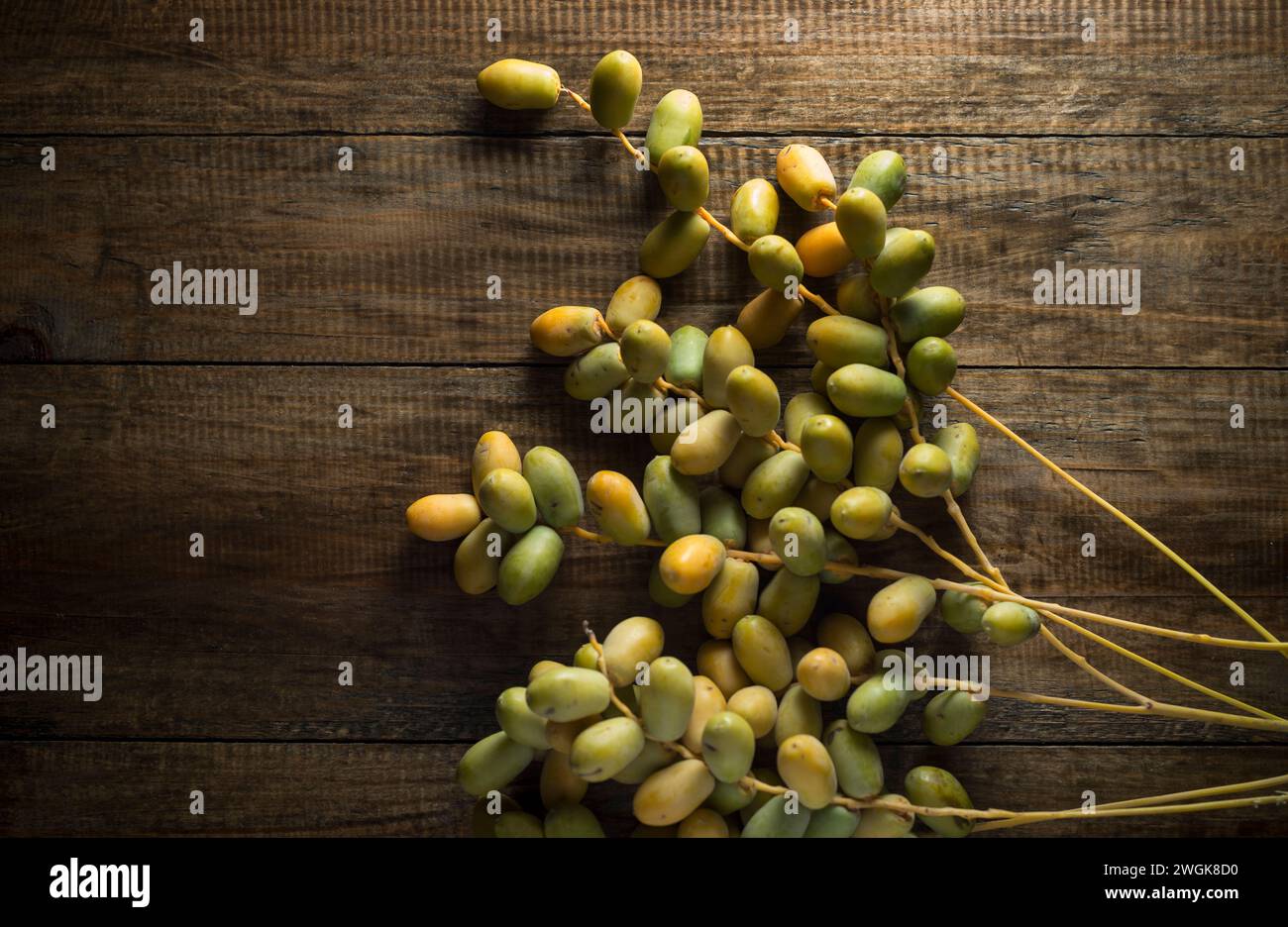 Arabian plant hi-res stock photography and images - Alamy