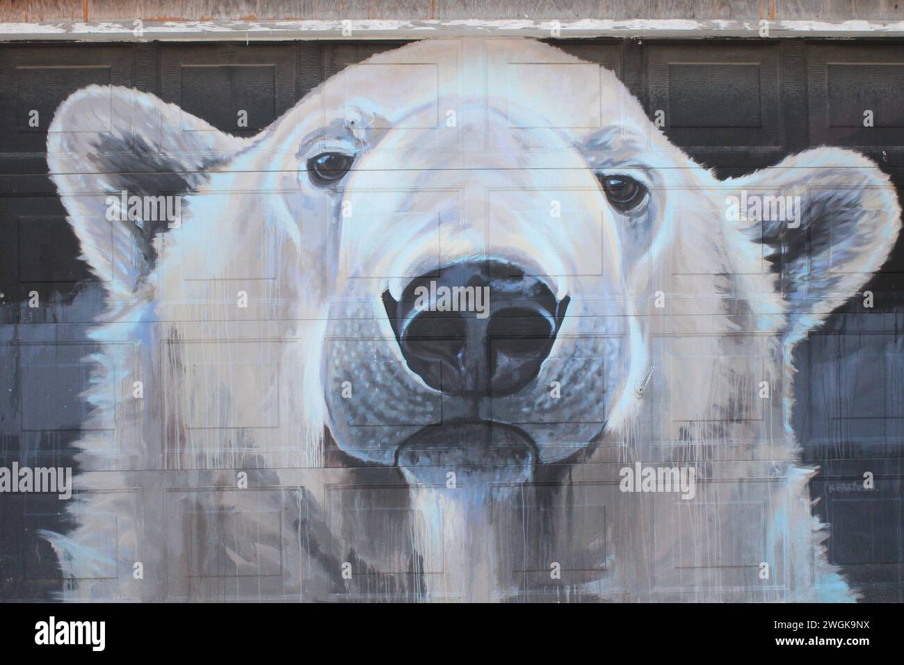 Art by Kal Barteski painted on a garage wall shows the polar bear which ...