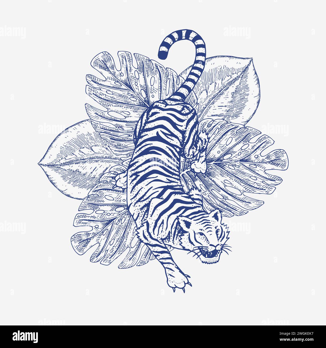 Japanese Tiger Line Drawing