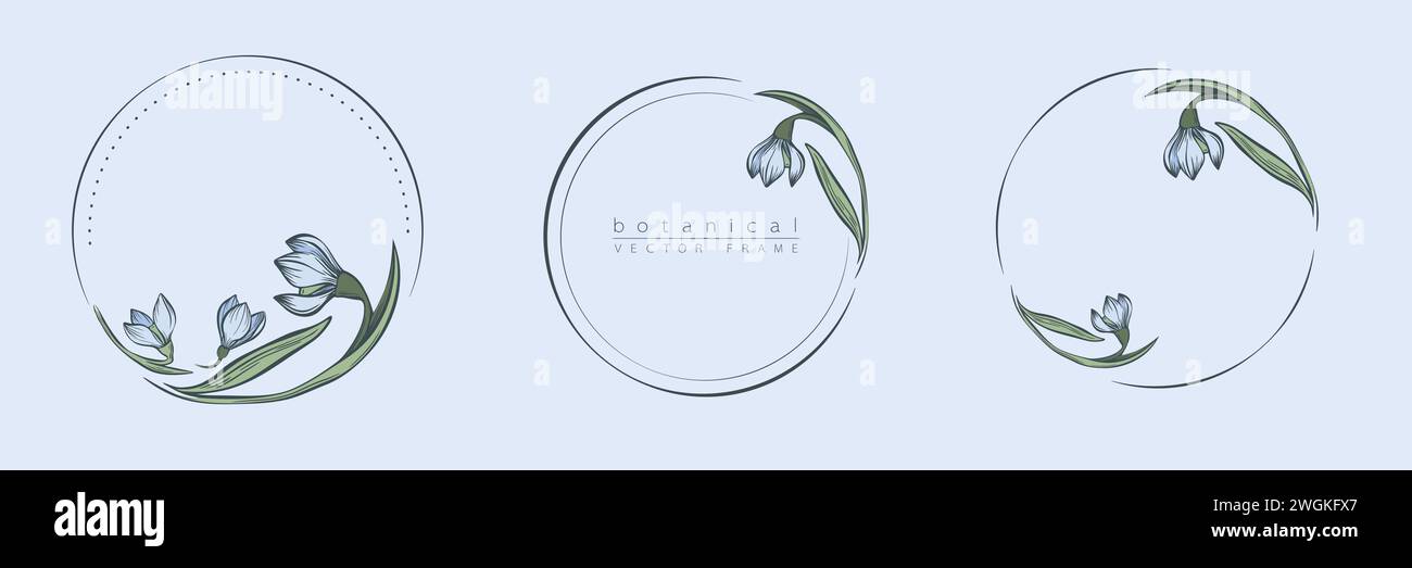 Botanical snowdrop flower circle frame set. Hand drawn round line ...
