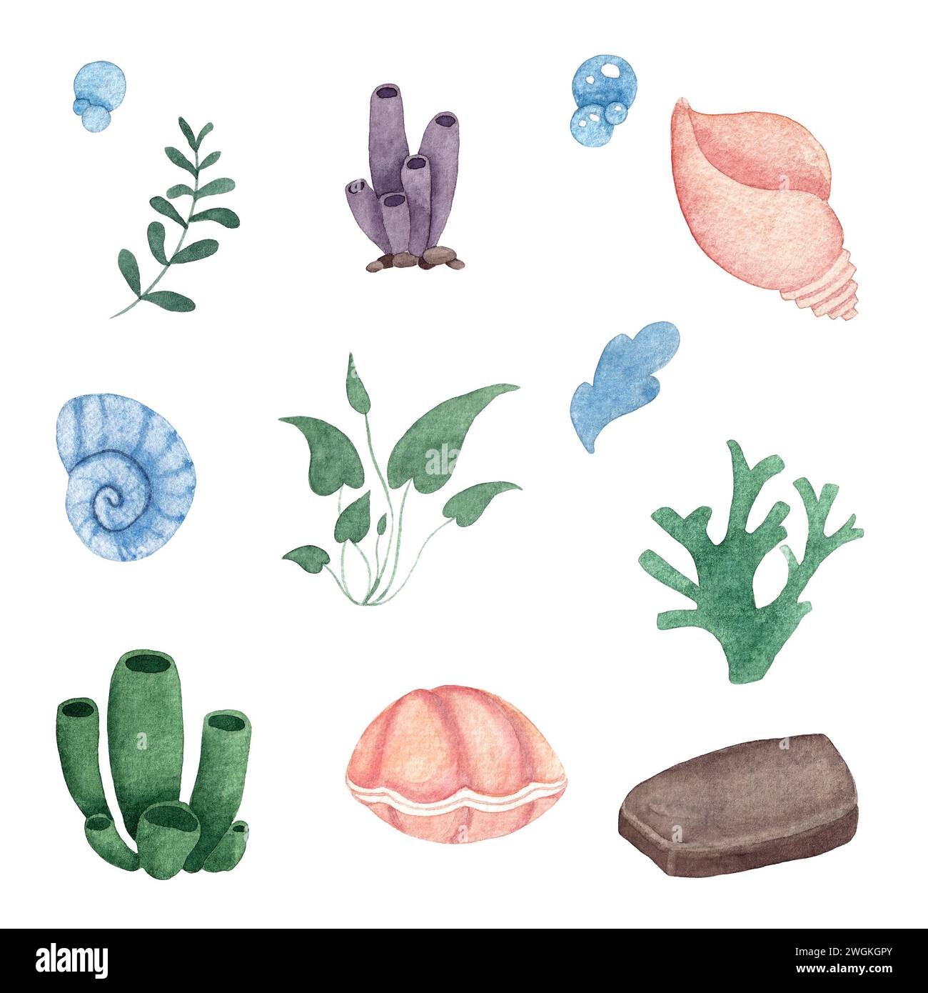 Watercolor set of underwater life objects. Hand painted set with coral ...