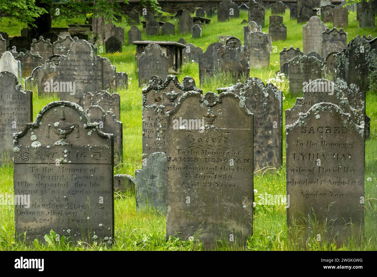 Town city first burial area buildings building lawn grass green hi-res ...