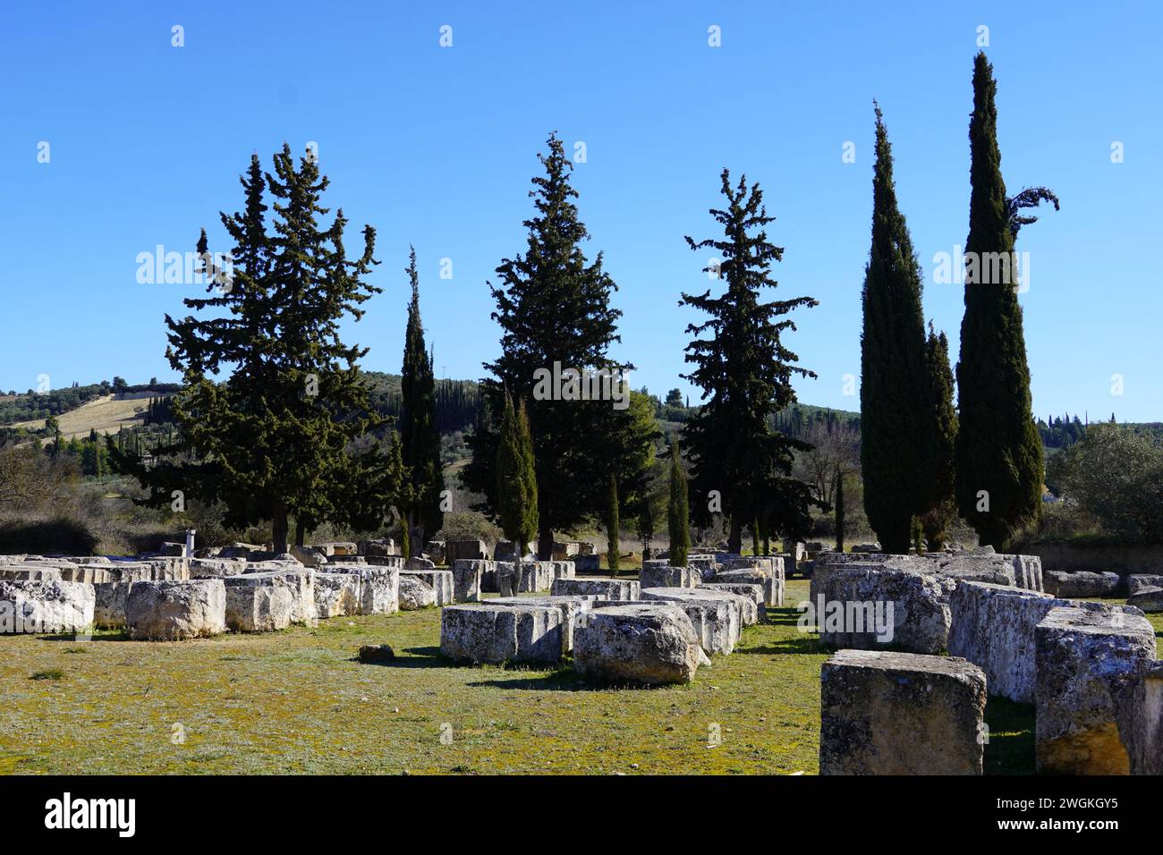 Ancient column pieces in the Nemea archaeological site Stock Photo - Alamy