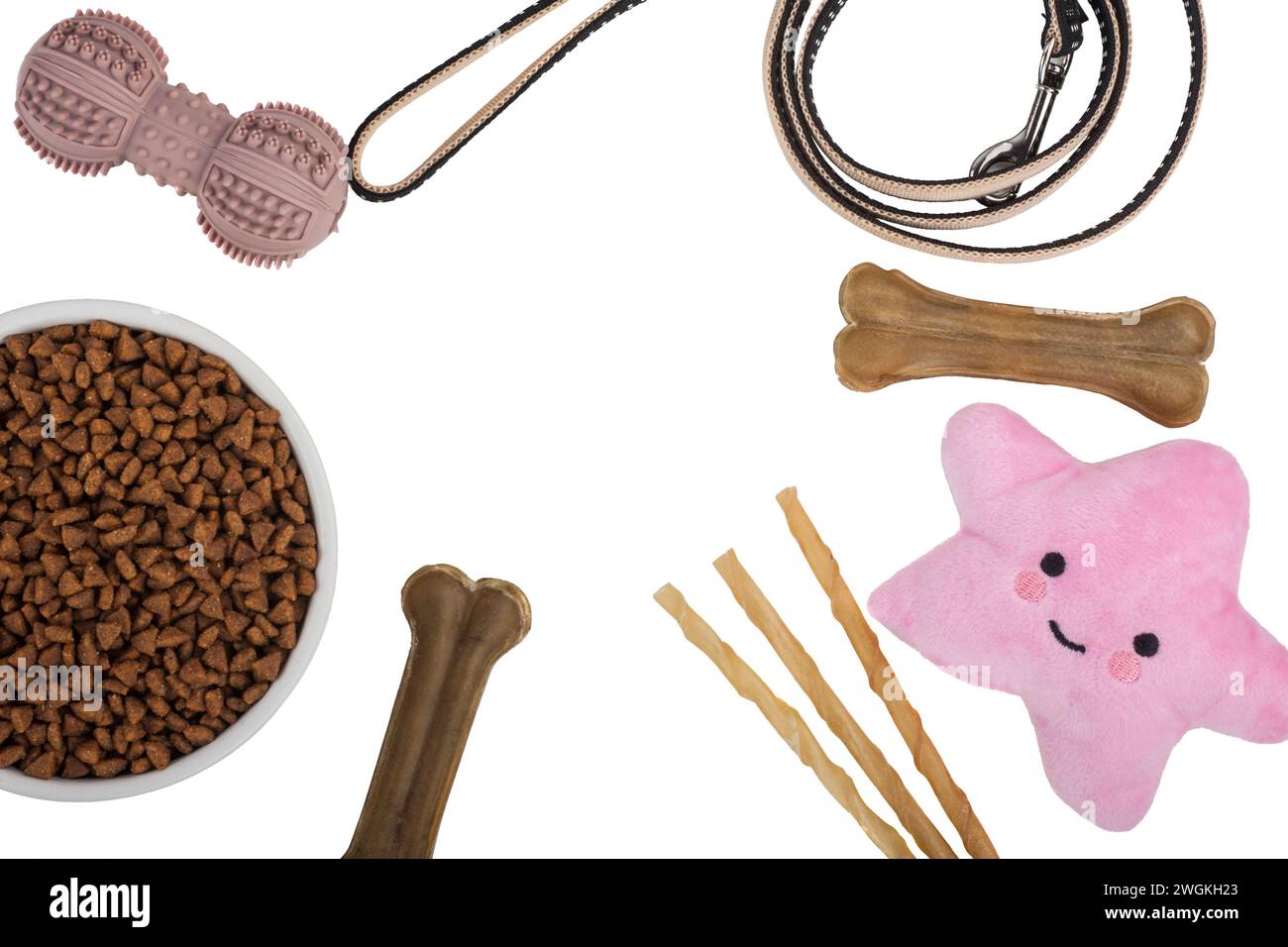 Set of different dog care accessories and toys isolated on white ...