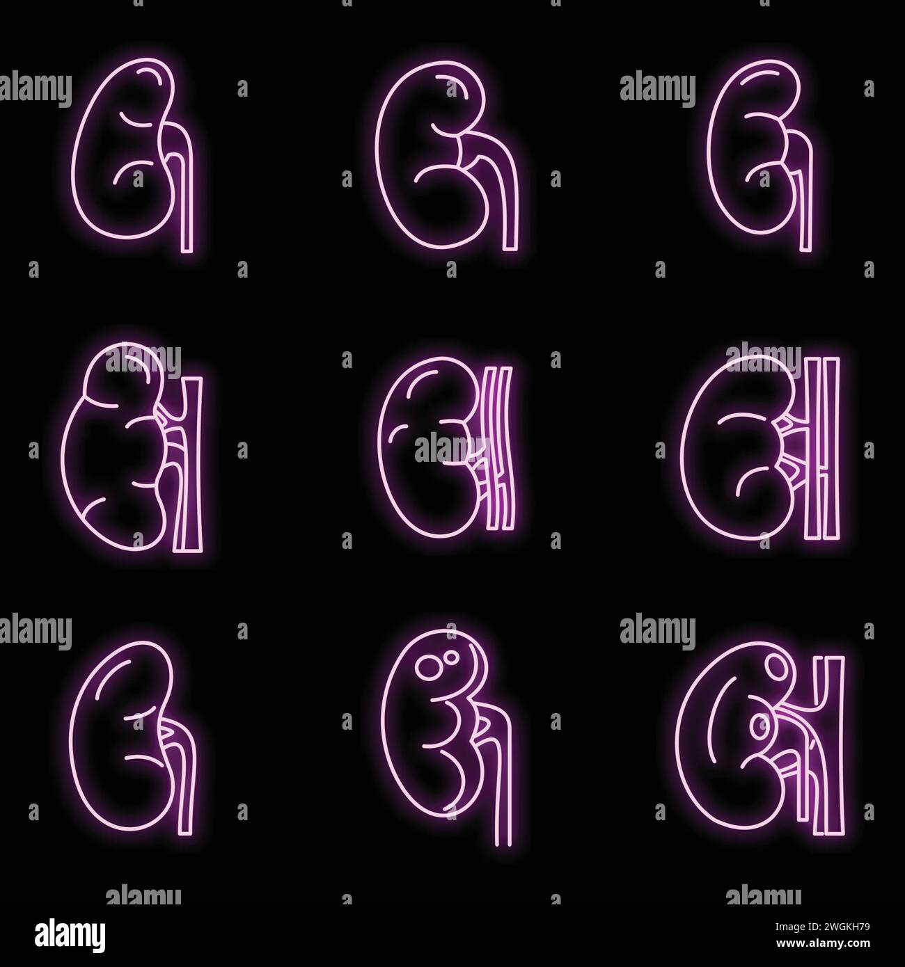 Kidney organ icons set. Outline set of kidney organ vector icons neon ...