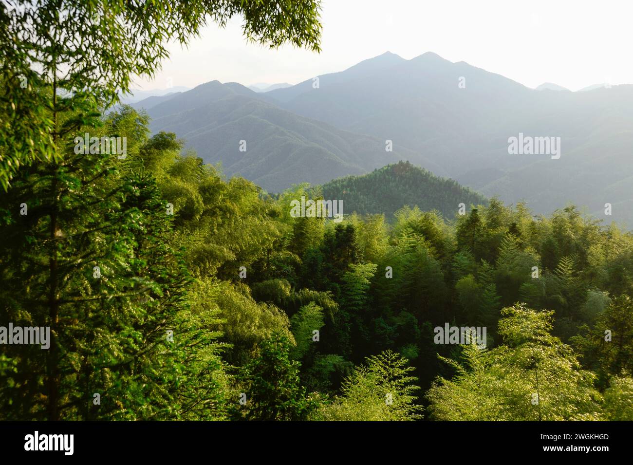 Chaoshan mountain hi-res stock photography and images - Alamy
