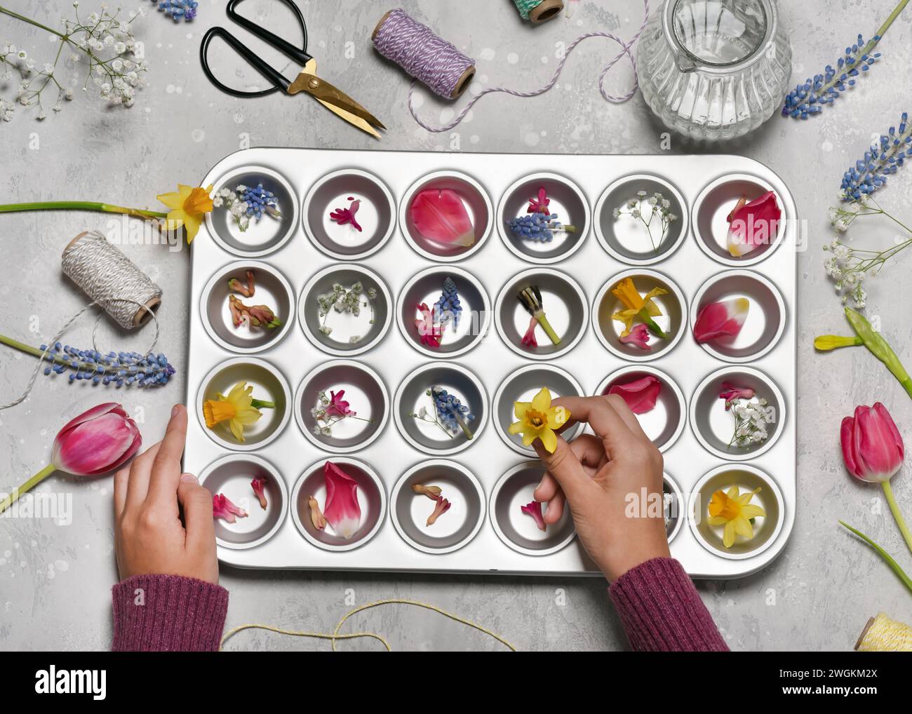 Step 1. Put a flower or petal on amuffin tin. Making spring decor for ...