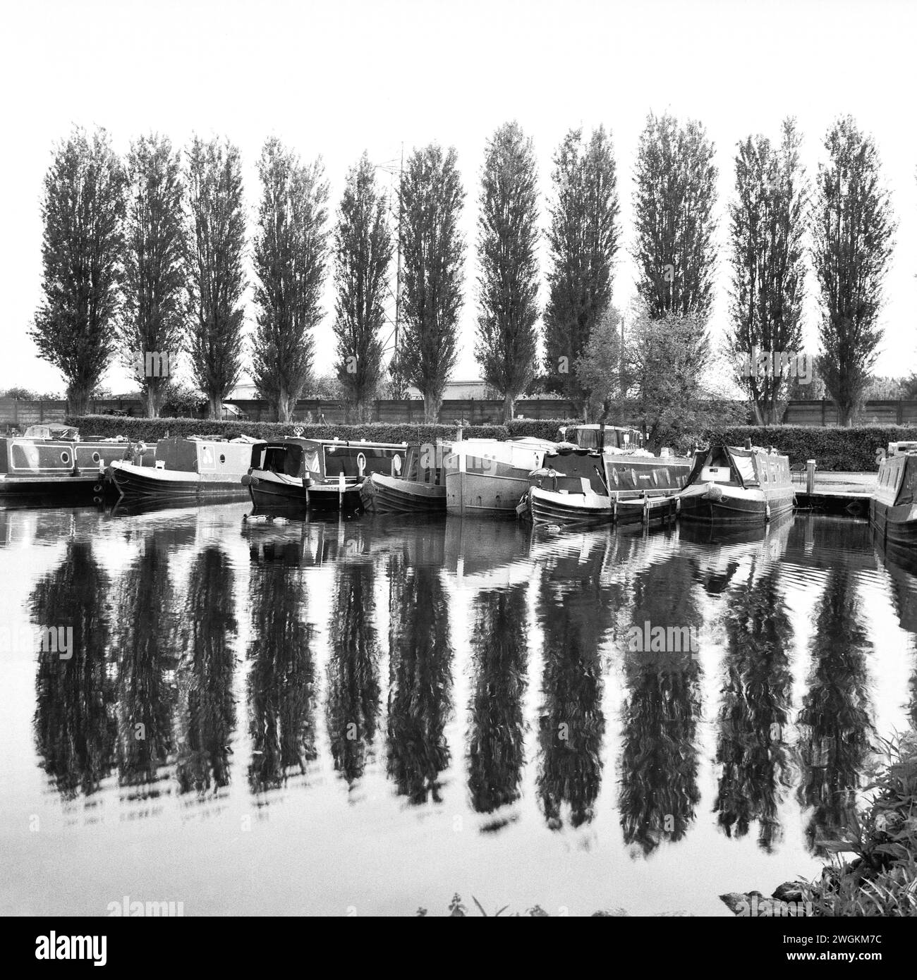 Nottingham castle marina hi-res stock photography and images - Alamy