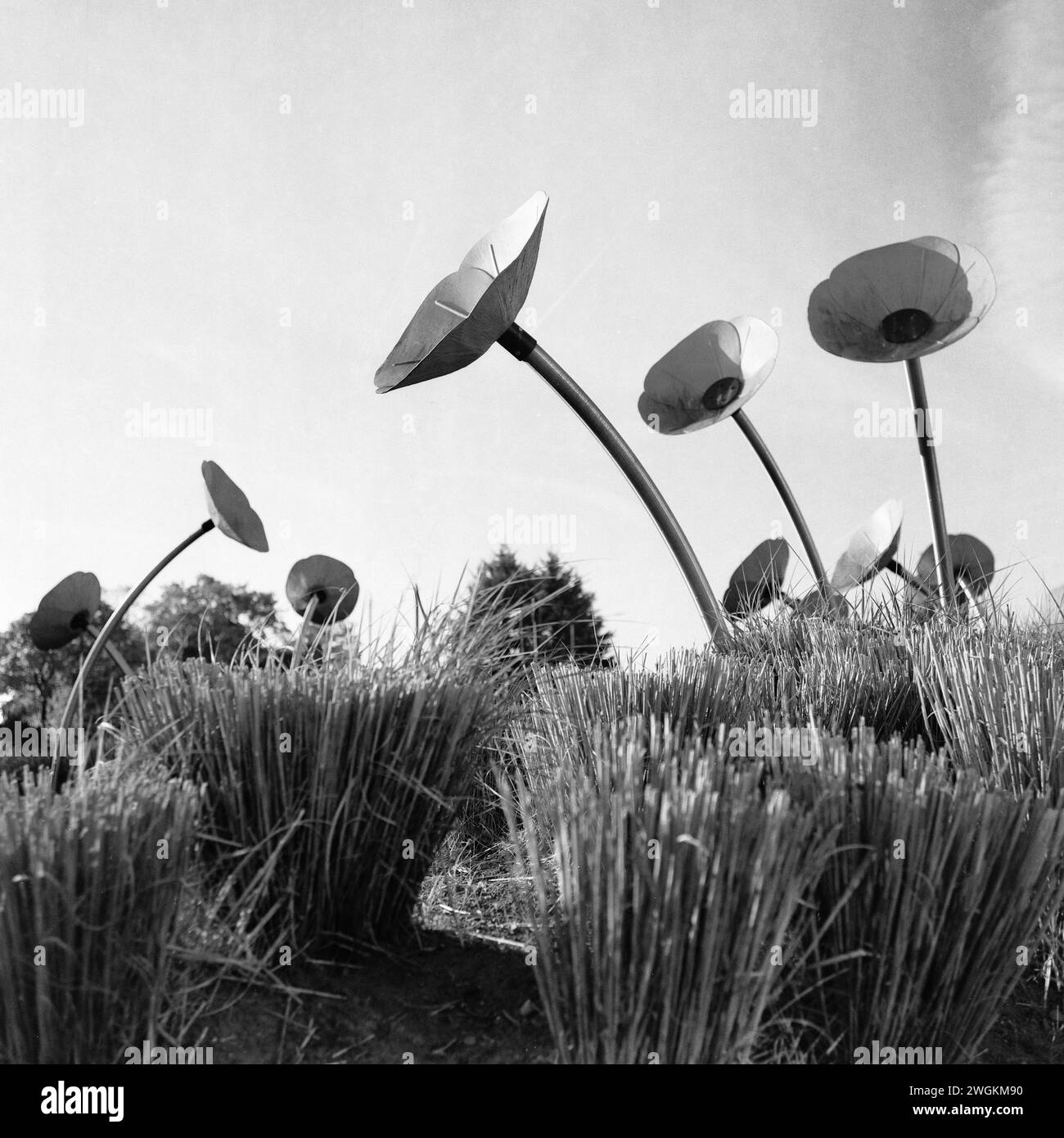 Veteran sculpture Black and White Stock Photos & Images - Alamy