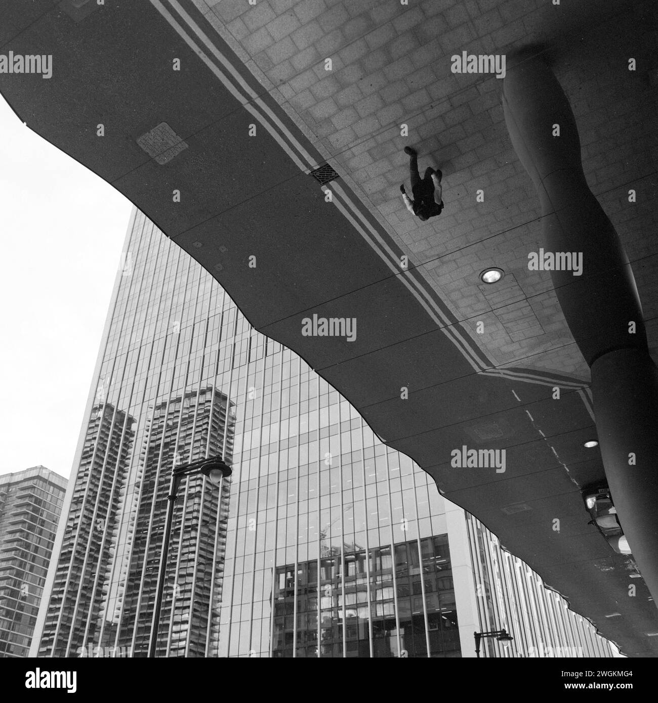 Black background reflections vector hi-res stock photography and images ...