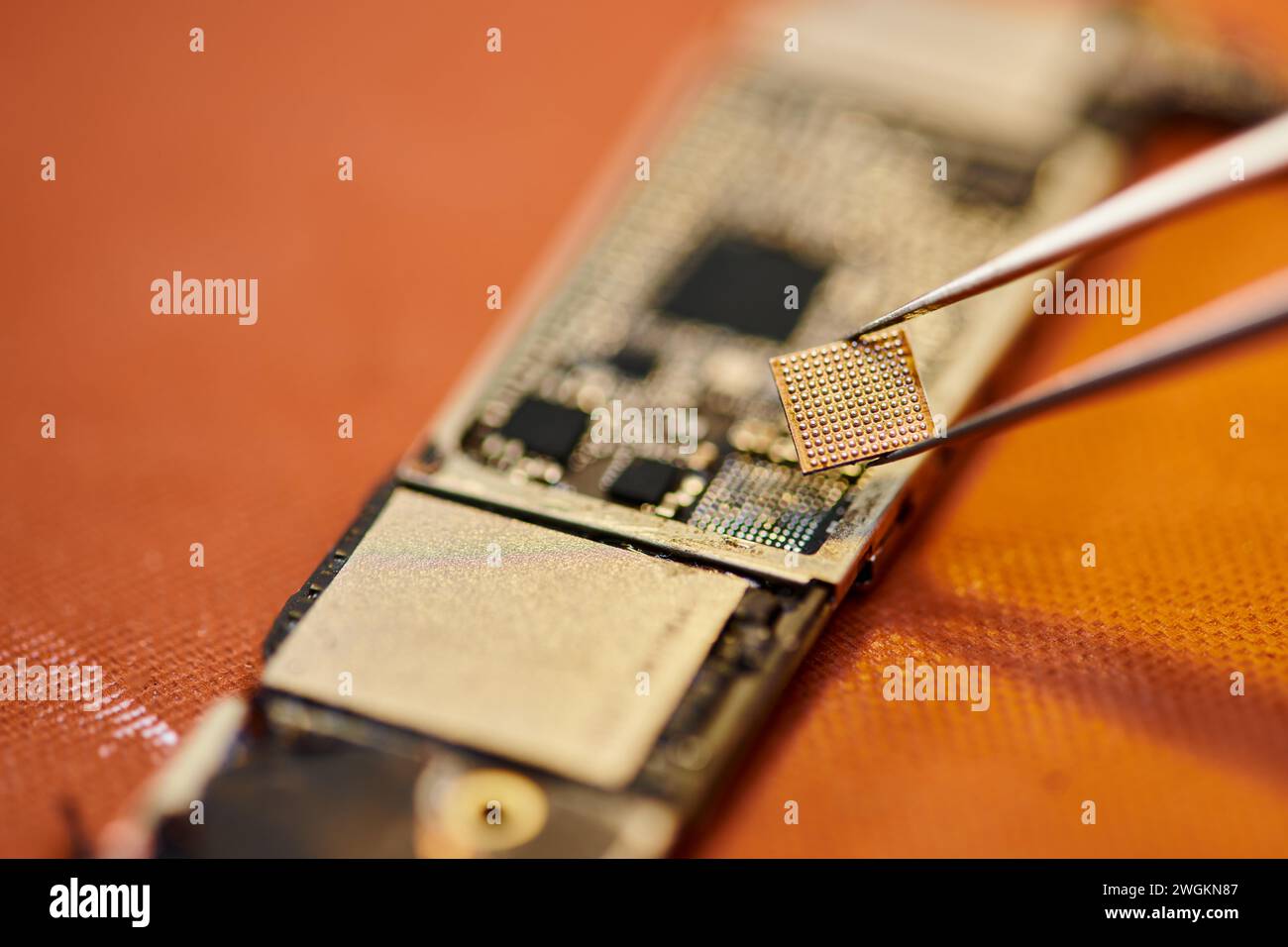 close up view of tweezers with electronic chip near microscheme in ...