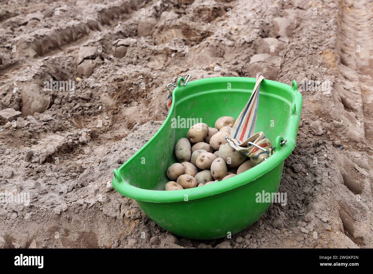 Plastic seed hi-res stock photography and images - Alamy