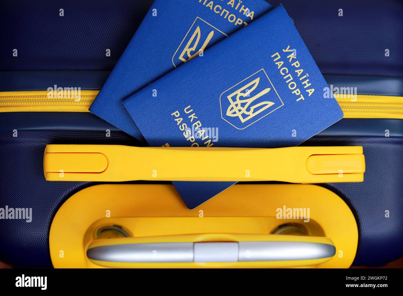 2 Ukrainian passports with inscription in Ukrainian - Passport of ...