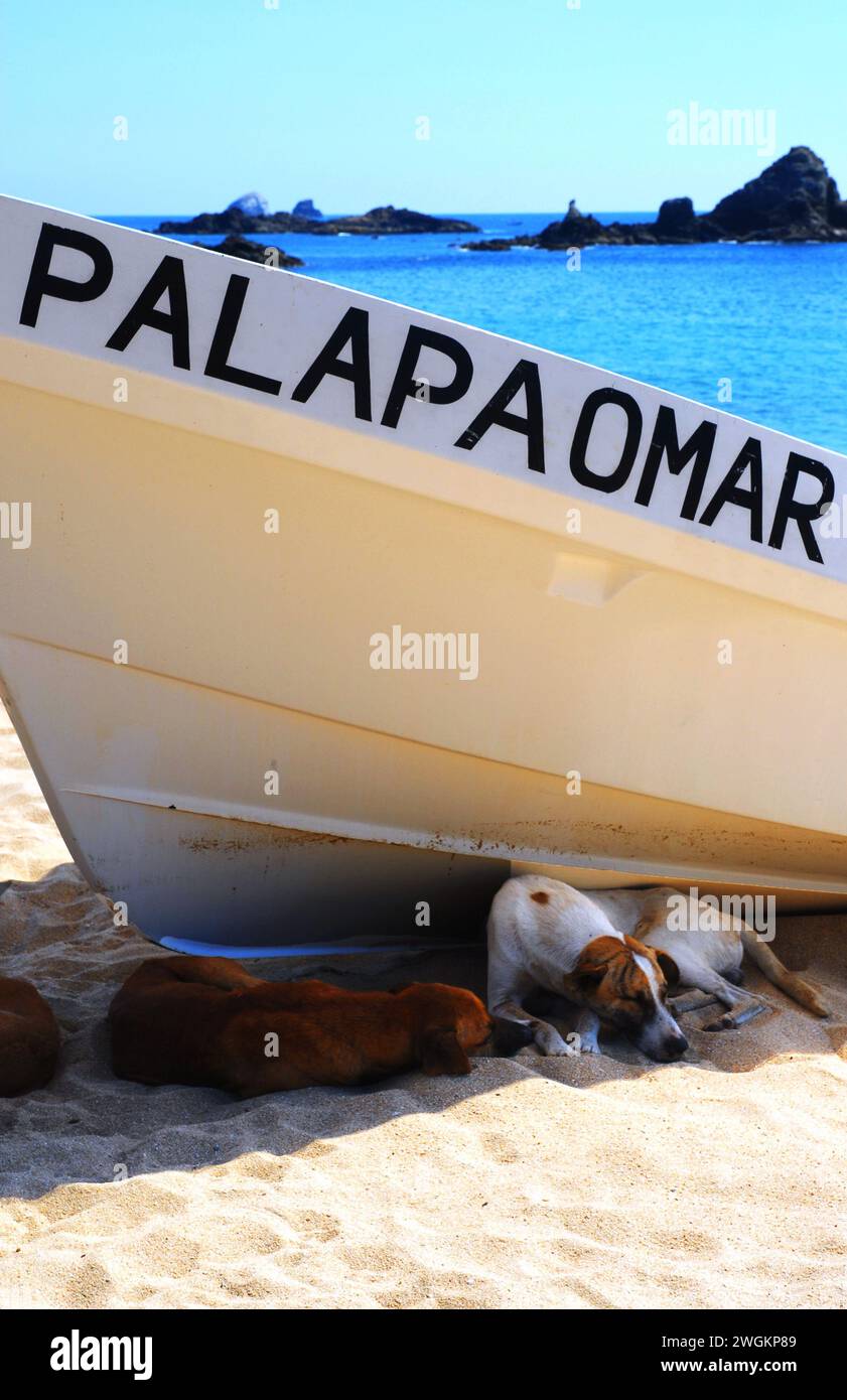 A small fishing boat offers shade for the local dogs in the beach town ...