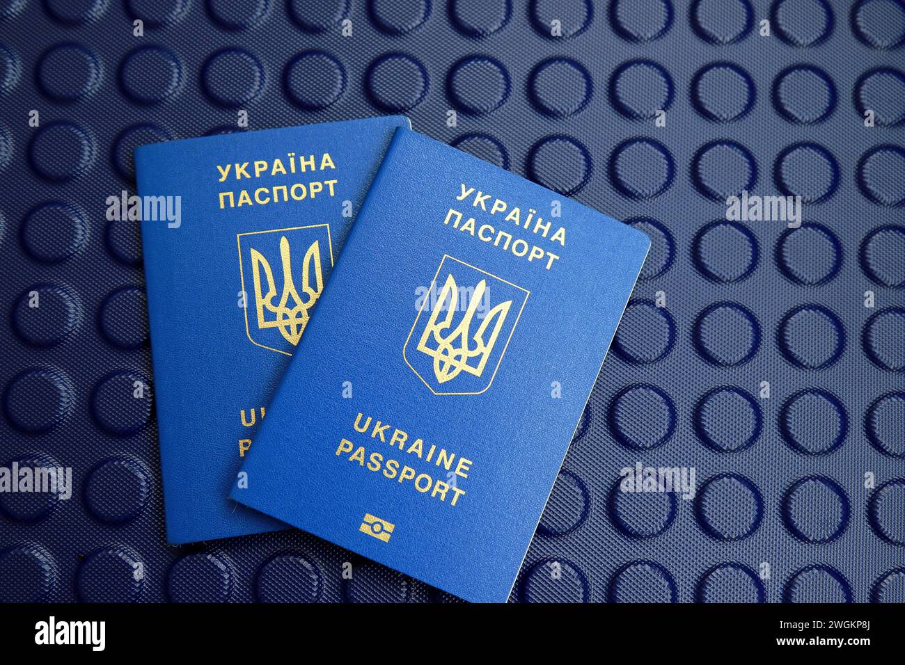 2 Ukrainian passports with inscription in Ukrainian - Passport of ...