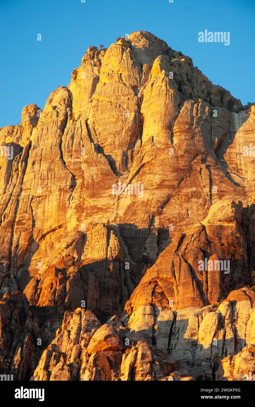Mt Wilson looms above the desert floor of Red Rock Canyon National ...