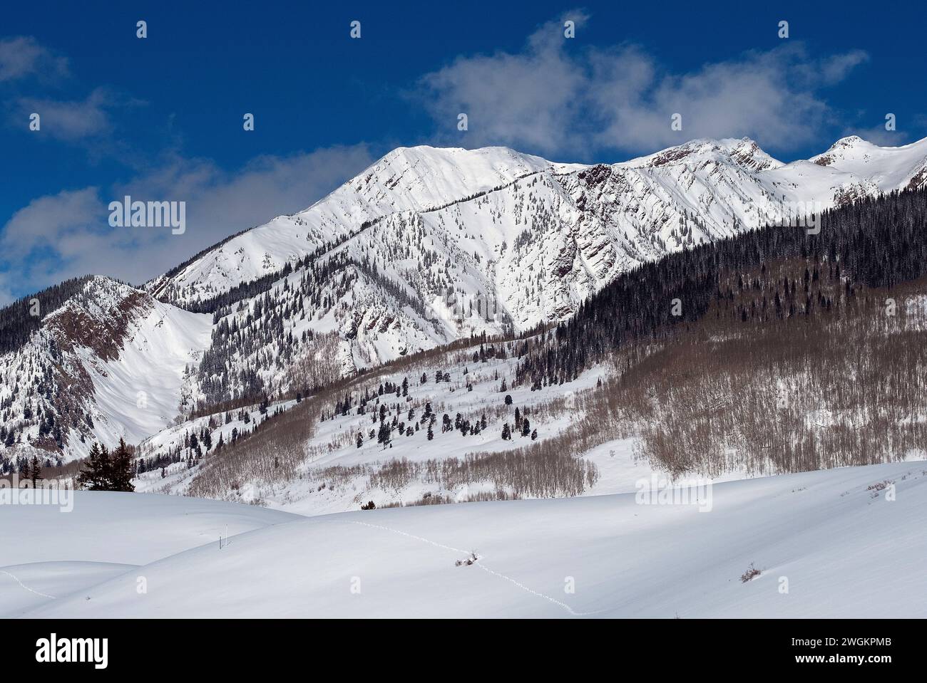 February 04, 2024: Crested Butte and the West Elk Range provide a ...