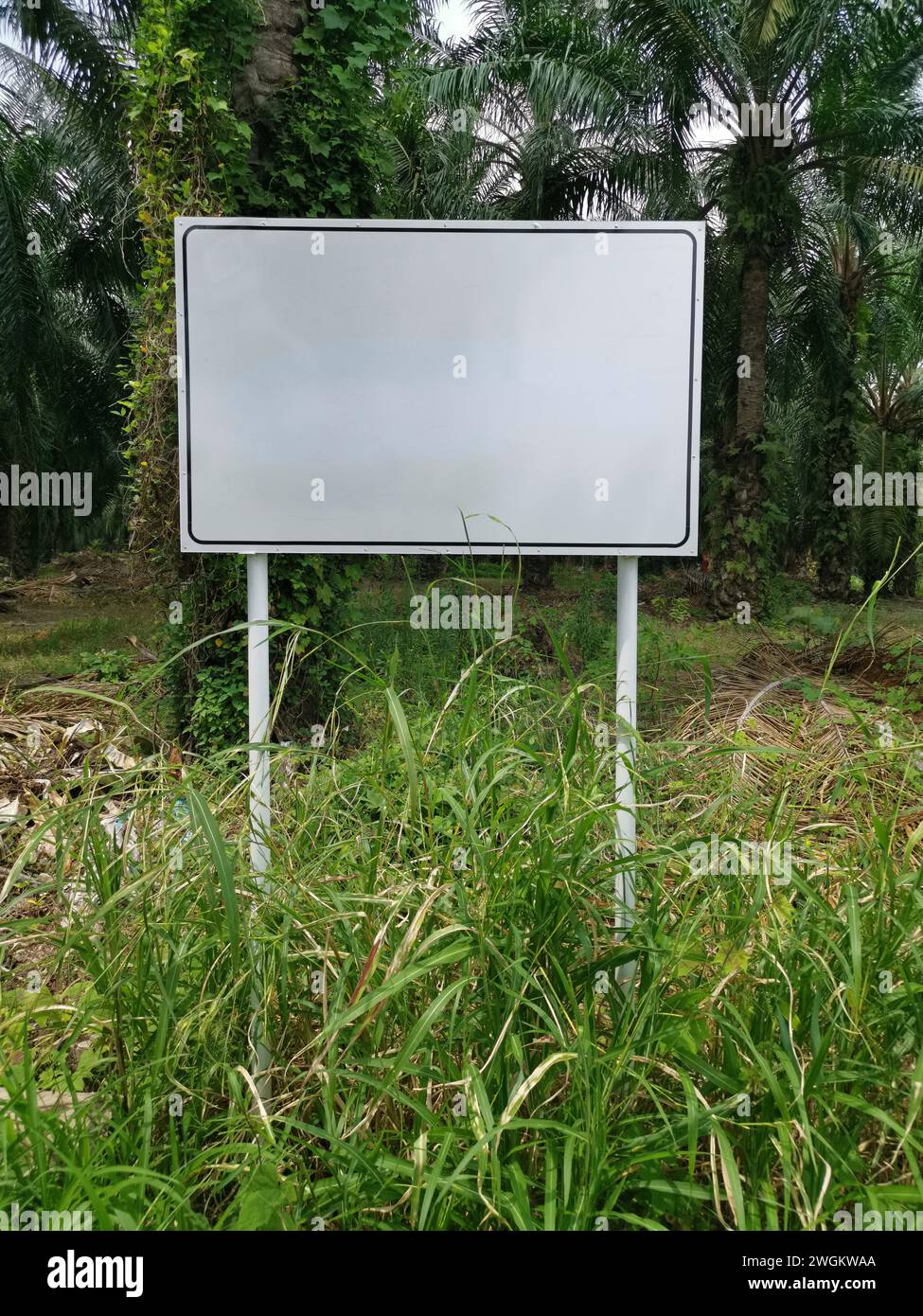 blank signboard for commercial purposes Stock Photo - Alamy