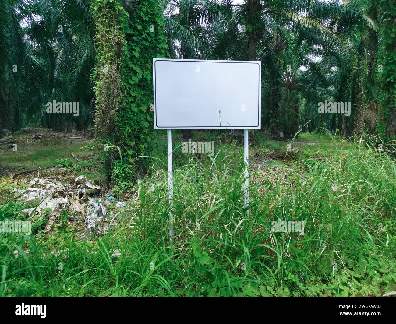 blank signboard for commercial purposes Stock Photo - Alamy
