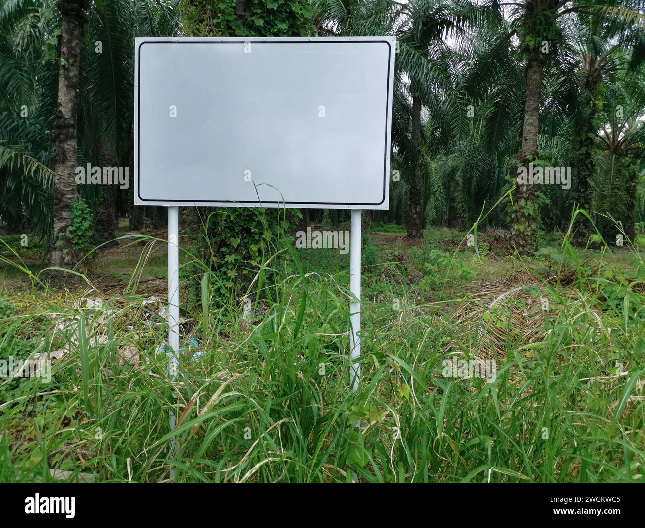 blank signboard for commercial purposes Stock Photo - Alamy