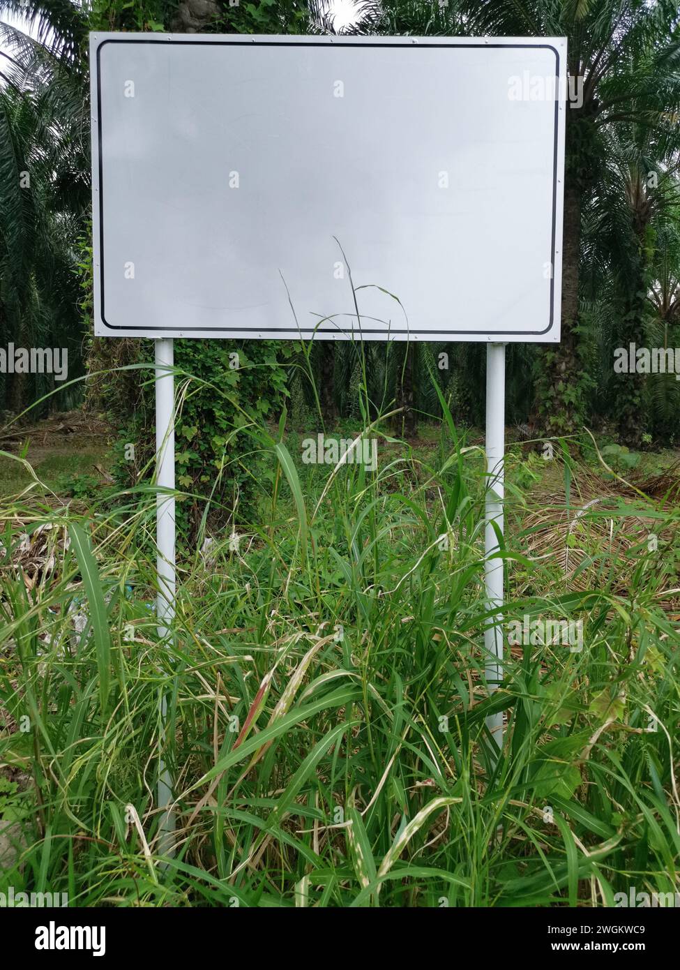 blank signboard for commercial purposes Stock Photo - Alamy
