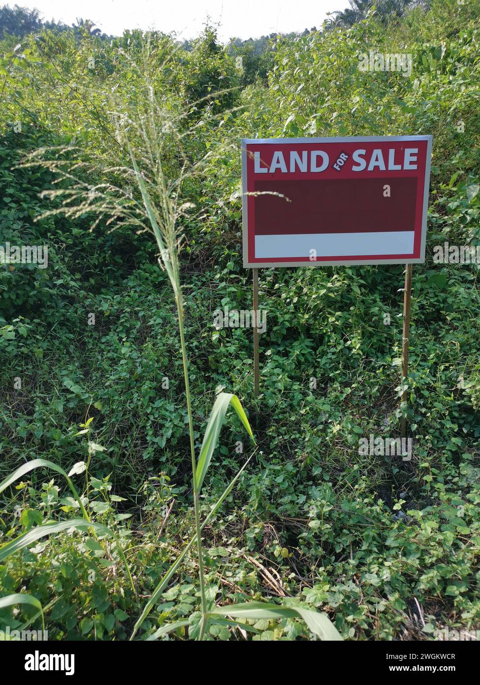 blank signboard for commercial purposes Stock Photo - Alamy