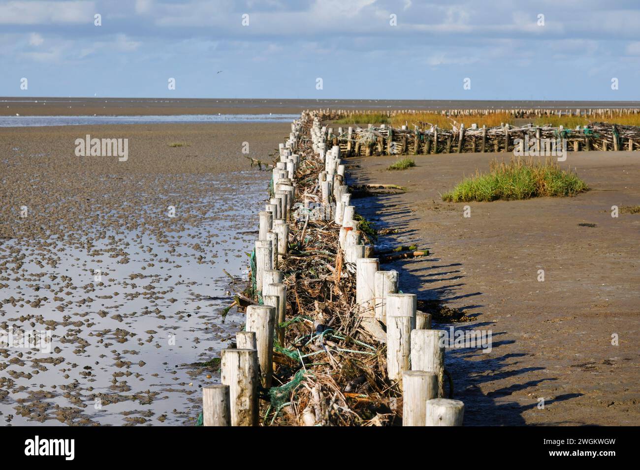 wave-breaker on the North Sea, land reclamation, Denmark, Jutland ...
