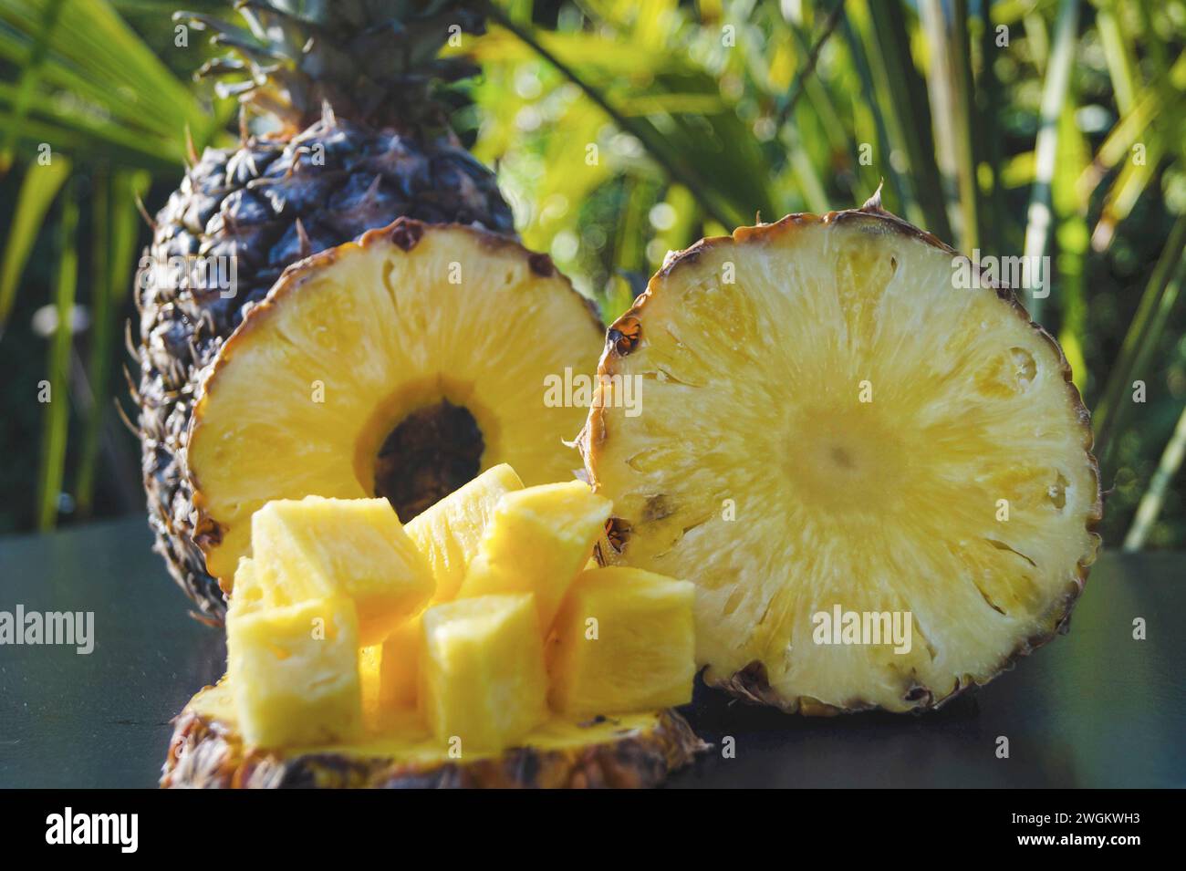 pineapple (Ananas comosus, Ananas sativus), whole fruit, pineapple ...