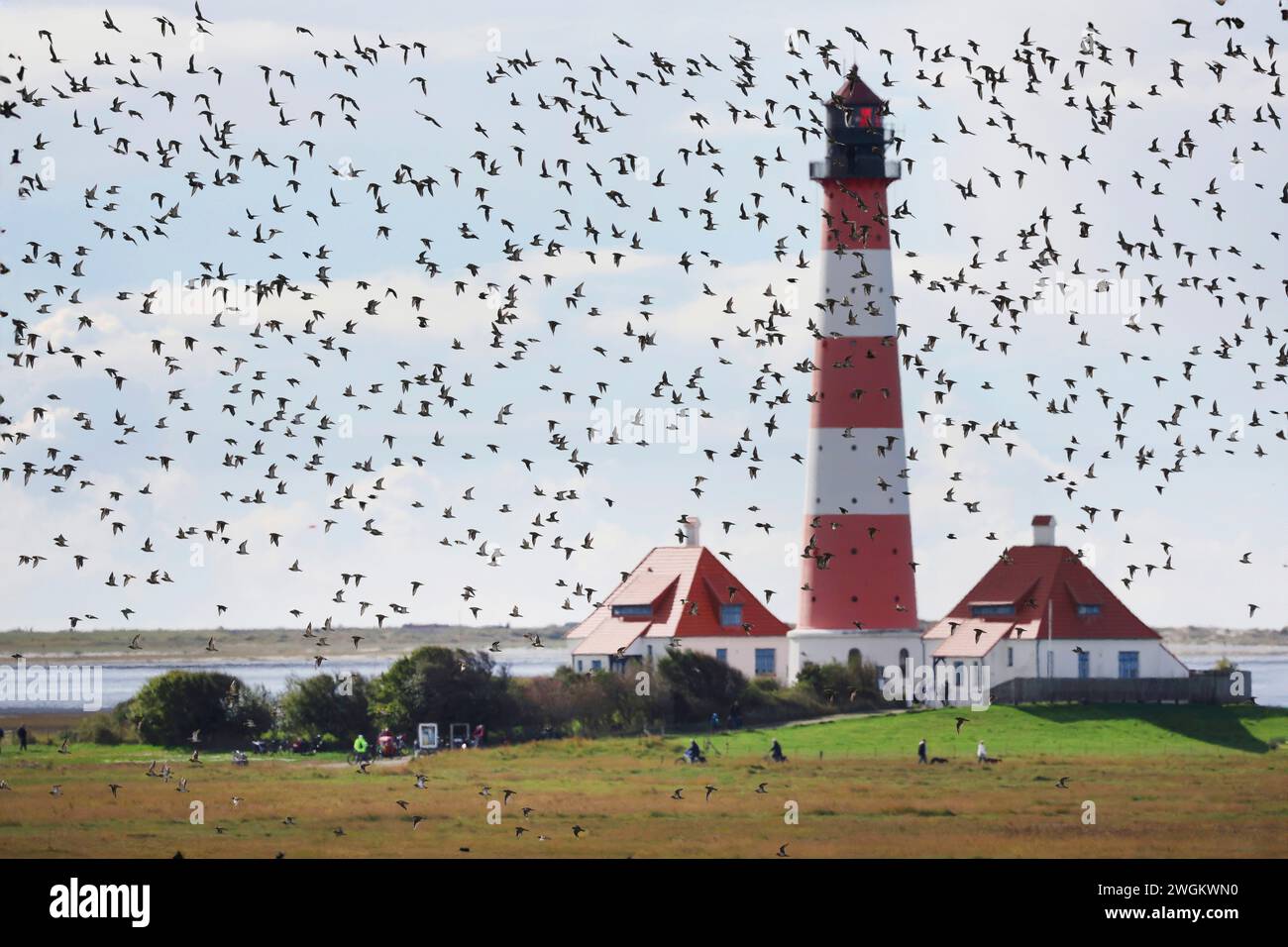 Gold whistling whistle hi-res stock photography and images - Alamy