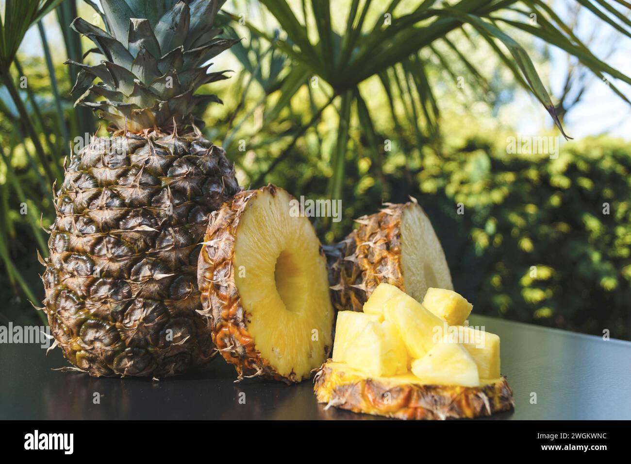 pineapple (Ananas comosus, Ananas sativus), whole fruit, pineapple ...