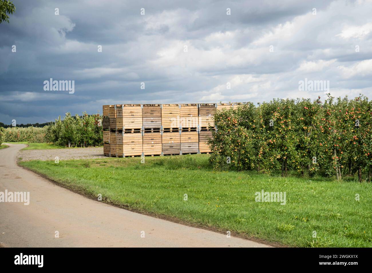 Apple boxe hi-res stock photography and images - Alamy
