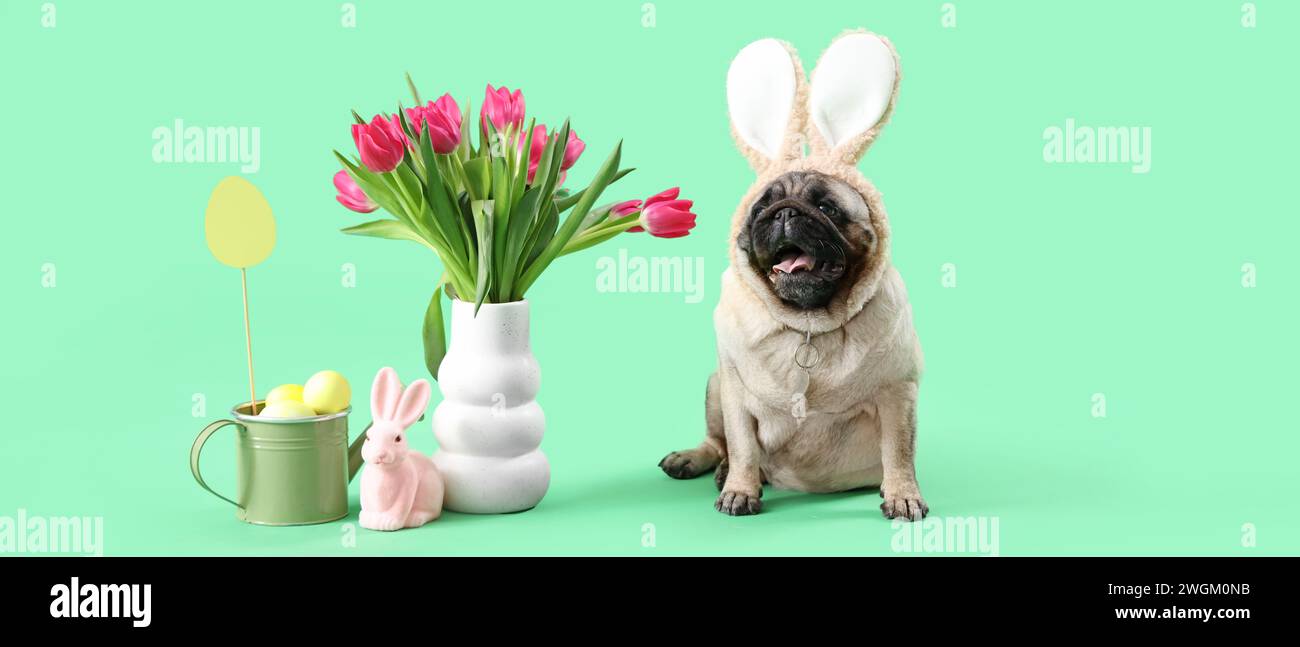 Cute pug dog with bunny ears, Easter eggs and tulips on green ...