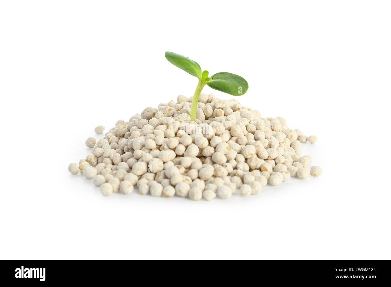 Green seedling growing from pile of granular fertilizer on white ...