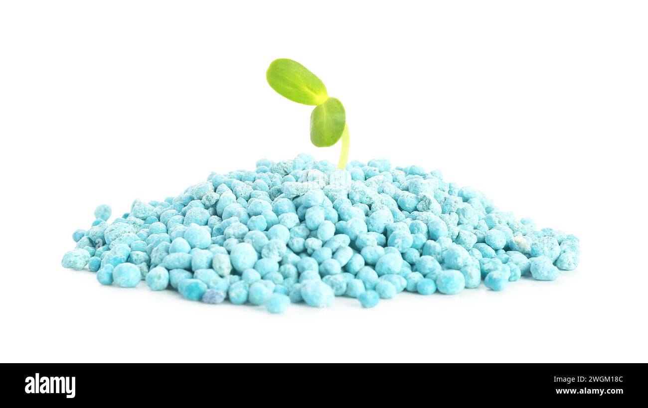 Green seedling growing from pile of blue granular fertilizer on white ...