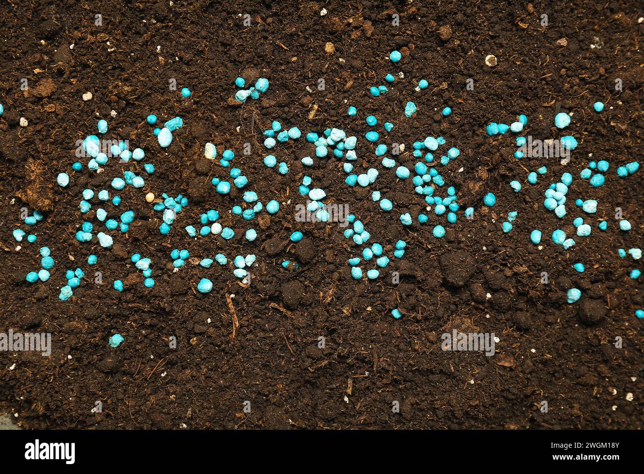 Brown soil with blue granular fertilizer Stock Photo - Alamy